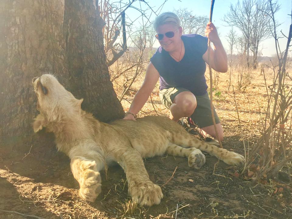 africa stroke lion | Trixies Pet Behaviour & Training